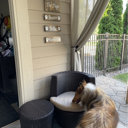 Brayden Studio® Landers Patio Chair with Cushion & Reviews | Wayfair