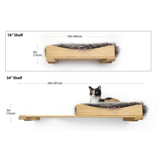 CatastrophiCreations Designer Rectangle Cat Bed | Wayfair
