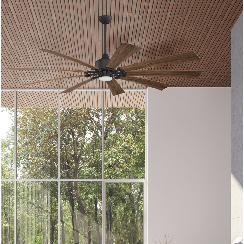 Foundry Select Leavitt 70'' Ceiling Fan with LED Lights & Reviews | Wayfair