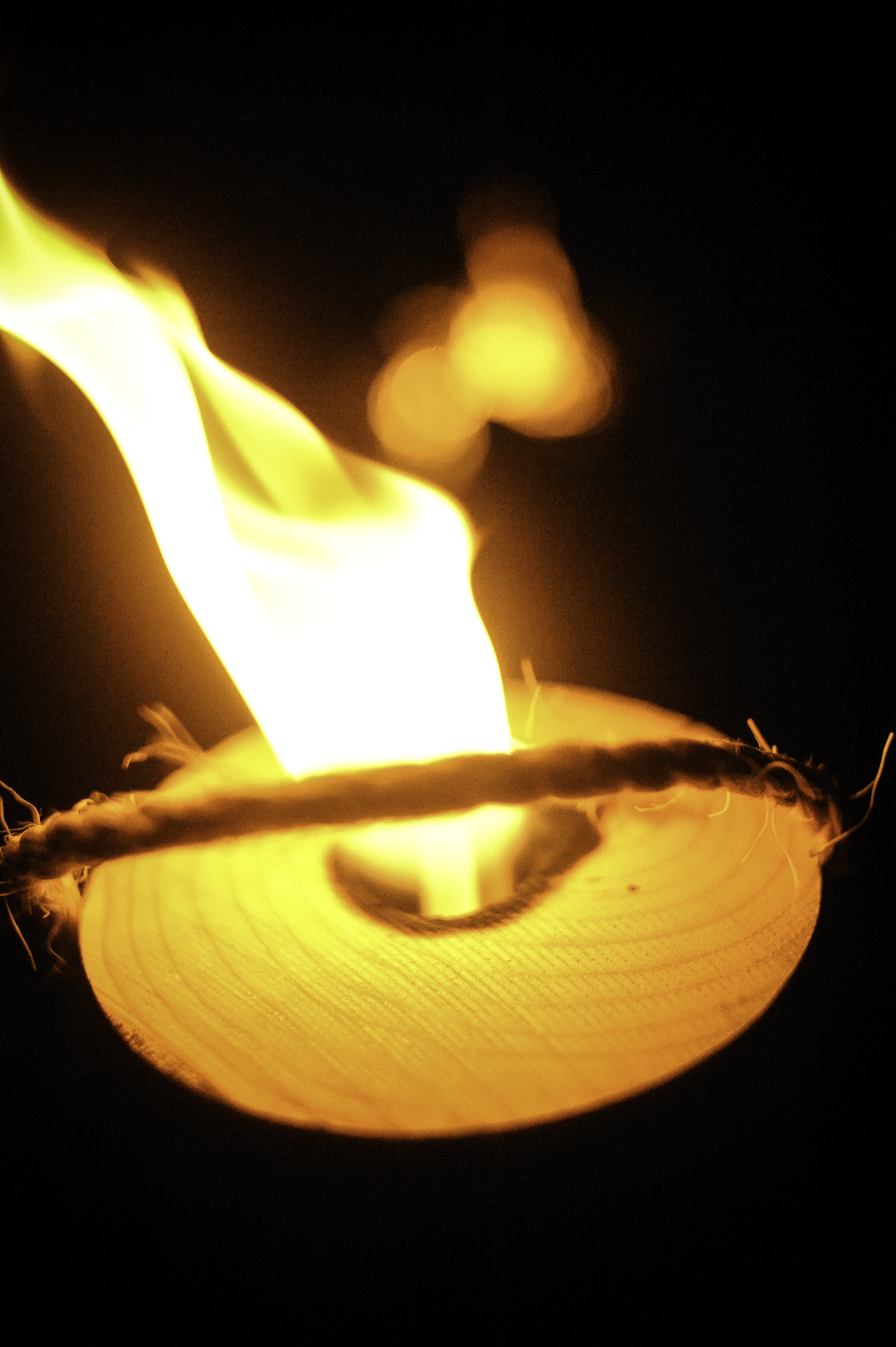 OneLogFire Original Firestarter & Reviews | Wayfair