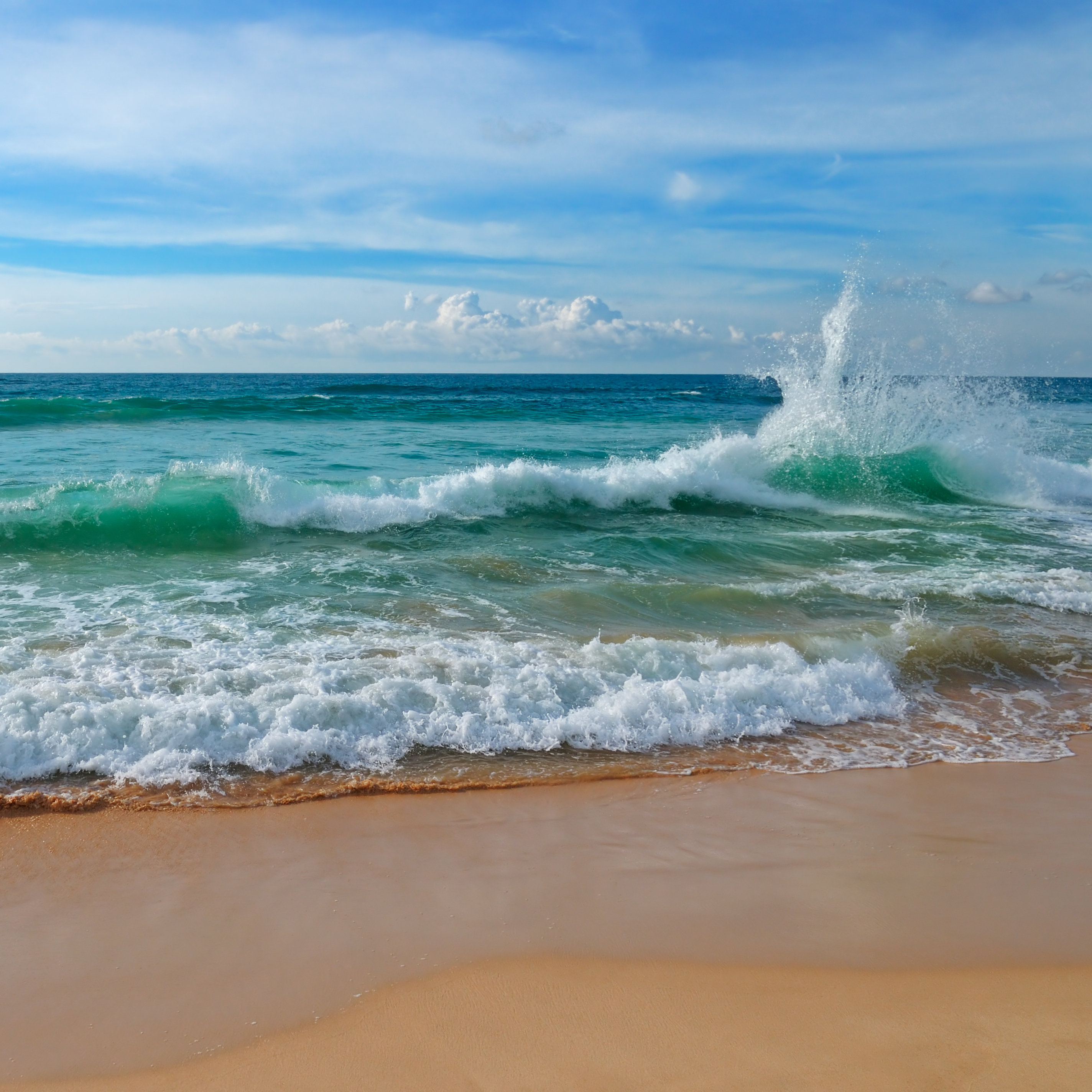 Highland Dunes Tropical Ocean On Canvas by Photograph | Wayfair