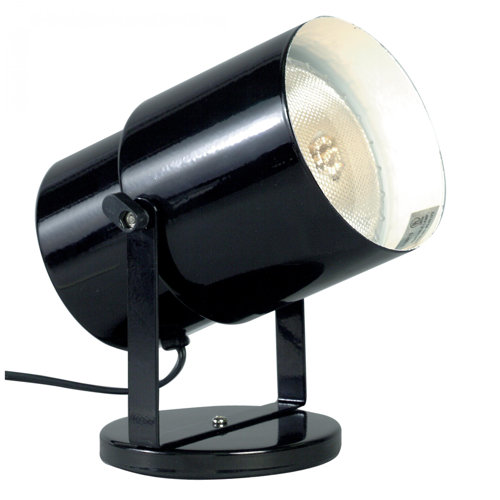 Symple Stuff Bellinger Steel Plug-in Spotlight & Reviews | Wayfair