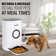 Pawple Pets Pet Automatic Feeder & Reviews | Wayfair