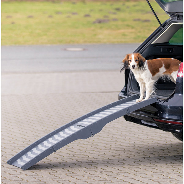 Tucker Murphy Pet™ Glendale Petwalk 3-Fold 59" Pet Ramp & Reviews | Wayfair