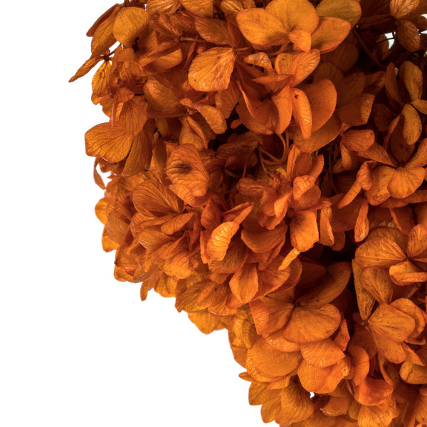 Primrue Natural Botanicals 15 Hydrangea with Multiple Branch Segments ...