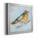 Red Barrel Studio® Bird Variety IV - Picture Frame Print on Canvas ...