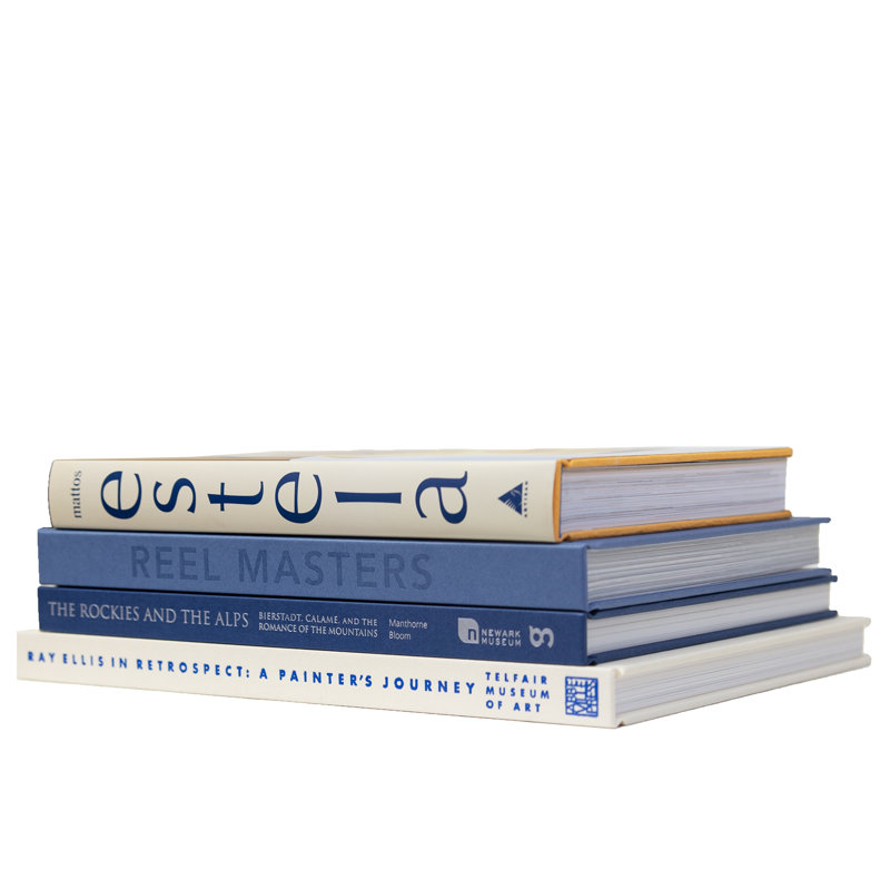 Booth & Williams 4 Piece Modern Coastal Shores ColorStak Decorative ...