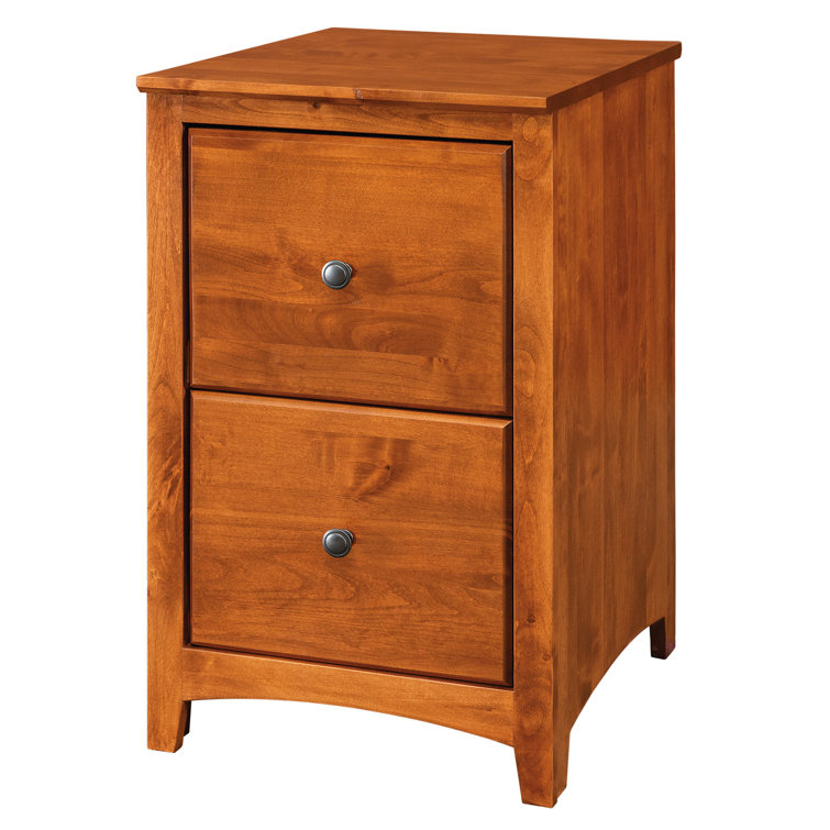 Foundry Select Malani 18'' Wide 2 -Drawer Solid Wood Vertical Filing ...