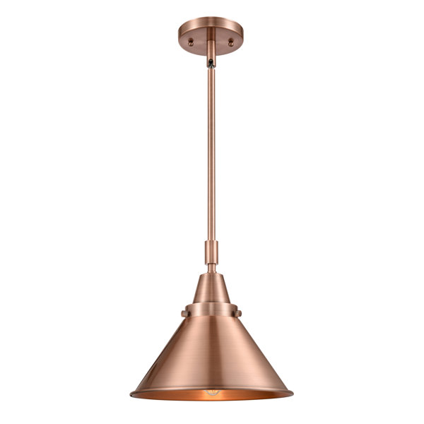 Breakwater Bay Cambarville 1 - Light Single Cone Pendant | Wayfair