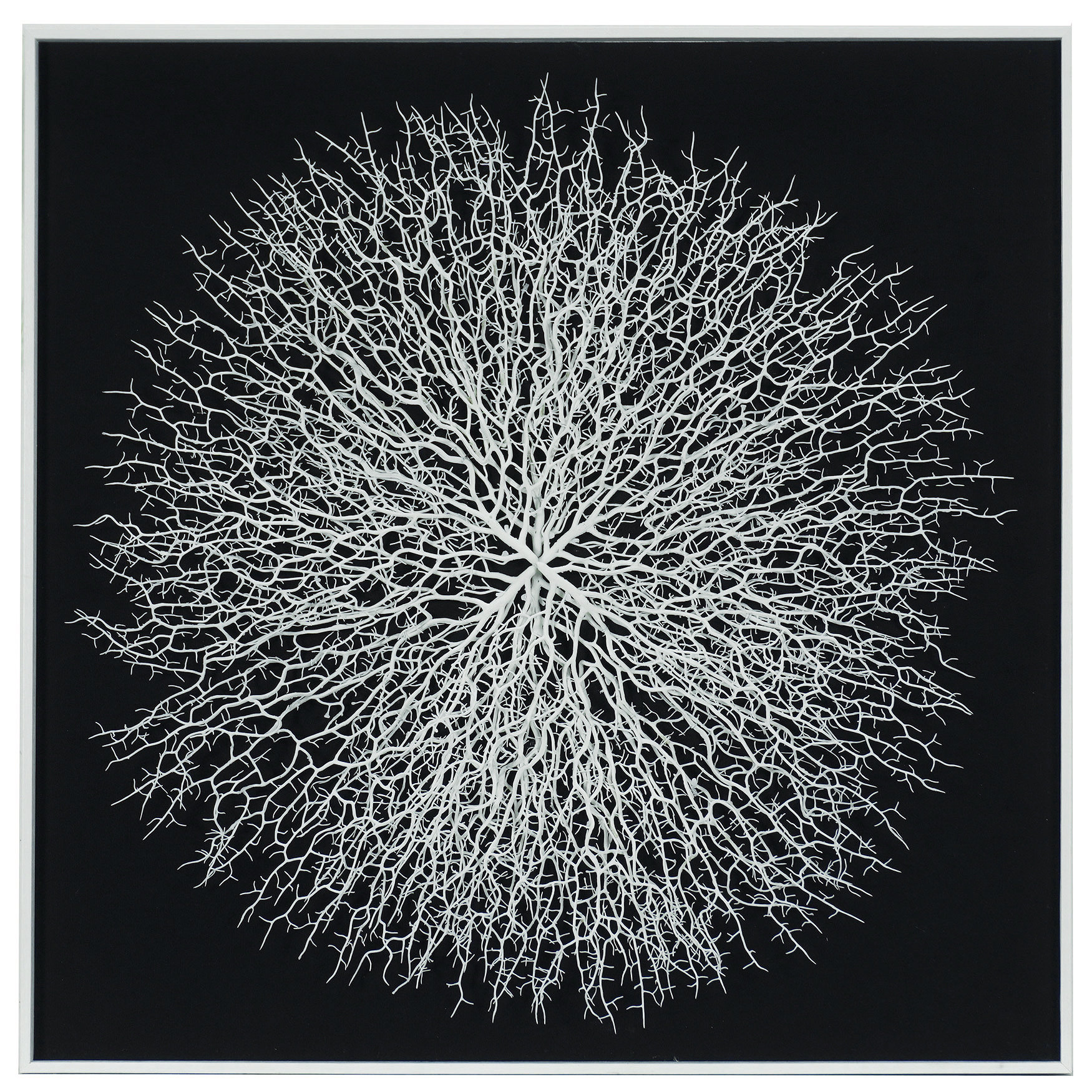 Rosecliff Heights Tree Roots Shadow Box Wall Décor | Wayfair