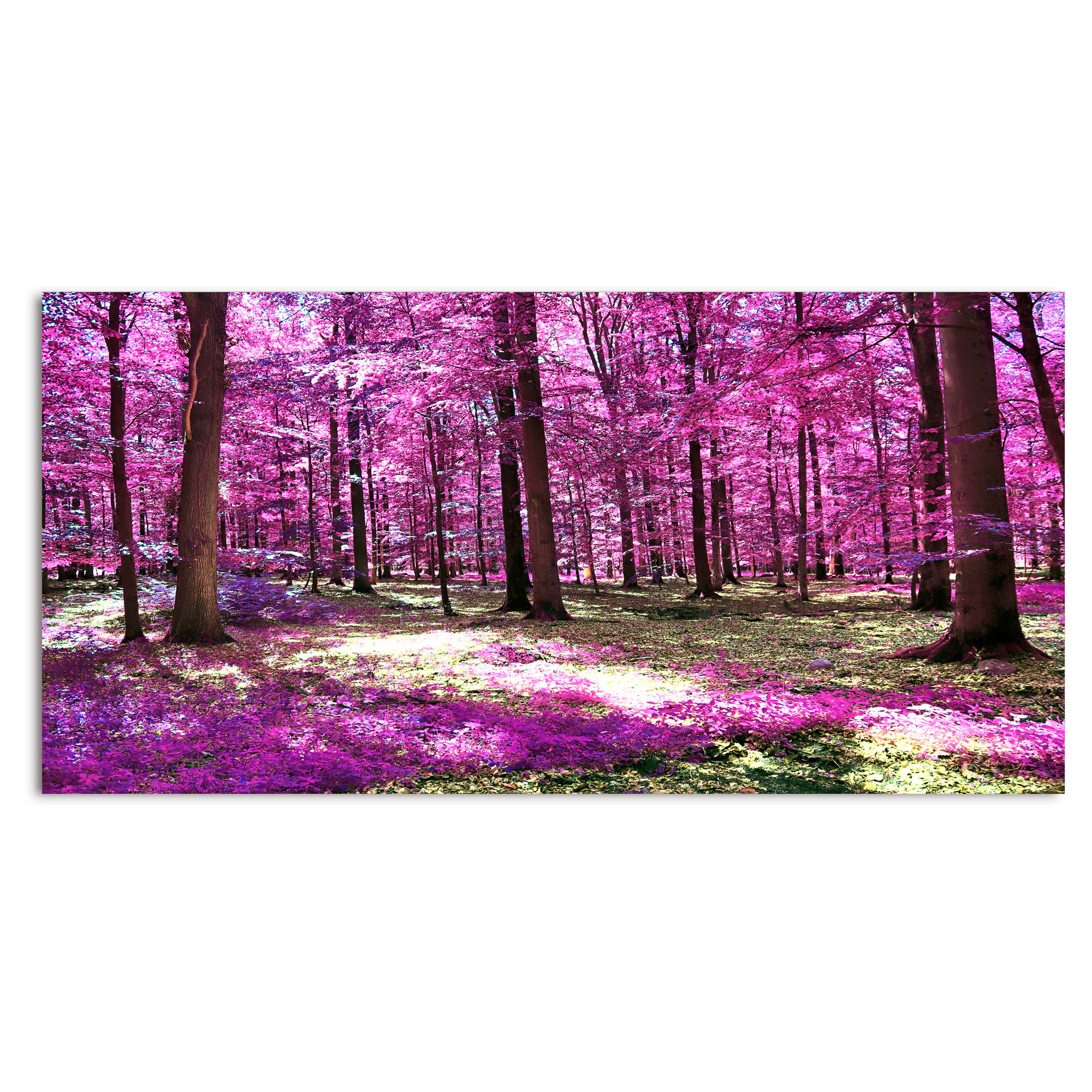 Millwood Pines Pink And Purple Fantasy Forest VI Pink And Purple ...