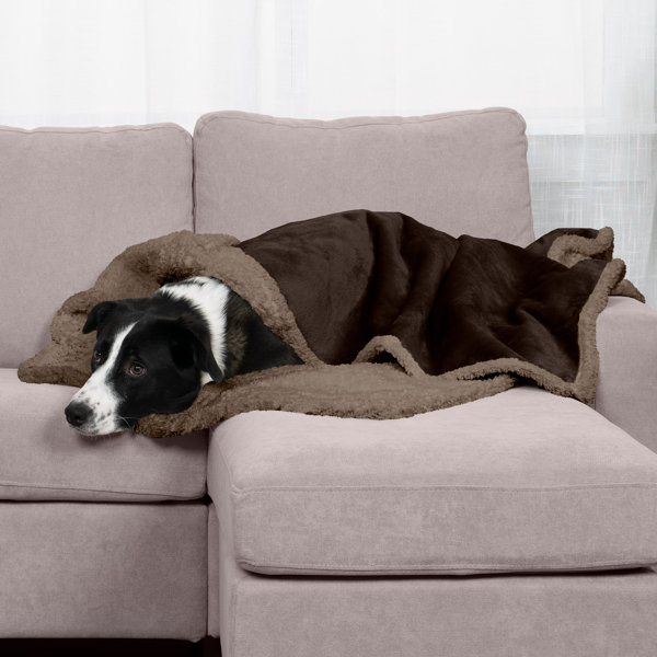 FurHaven Snuggly & Warm Soft-Edge Warming Waterproof Blanket | Wayfair