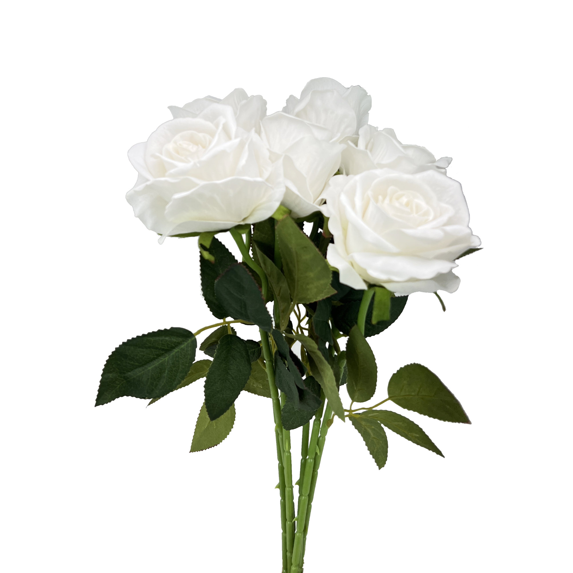 Primrue Roses Stems | Wayfair