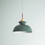 Gracie Oaks Kyha 1 - Light Single Dome Pendant with No Secondary Or ...