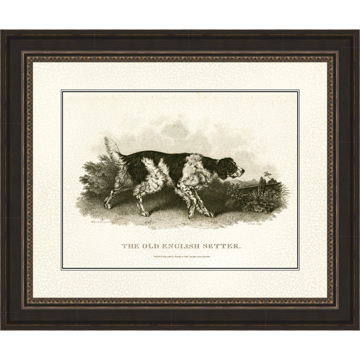 Red Barrel Studio® Antique English Setter - Picture Frame Graphic Art ...