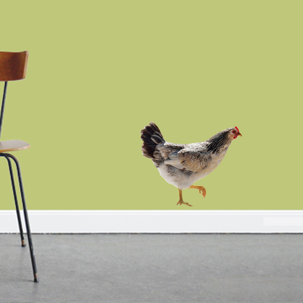 August Grove® Real Life Chicken Wall Decal & Reviews | Wayfair