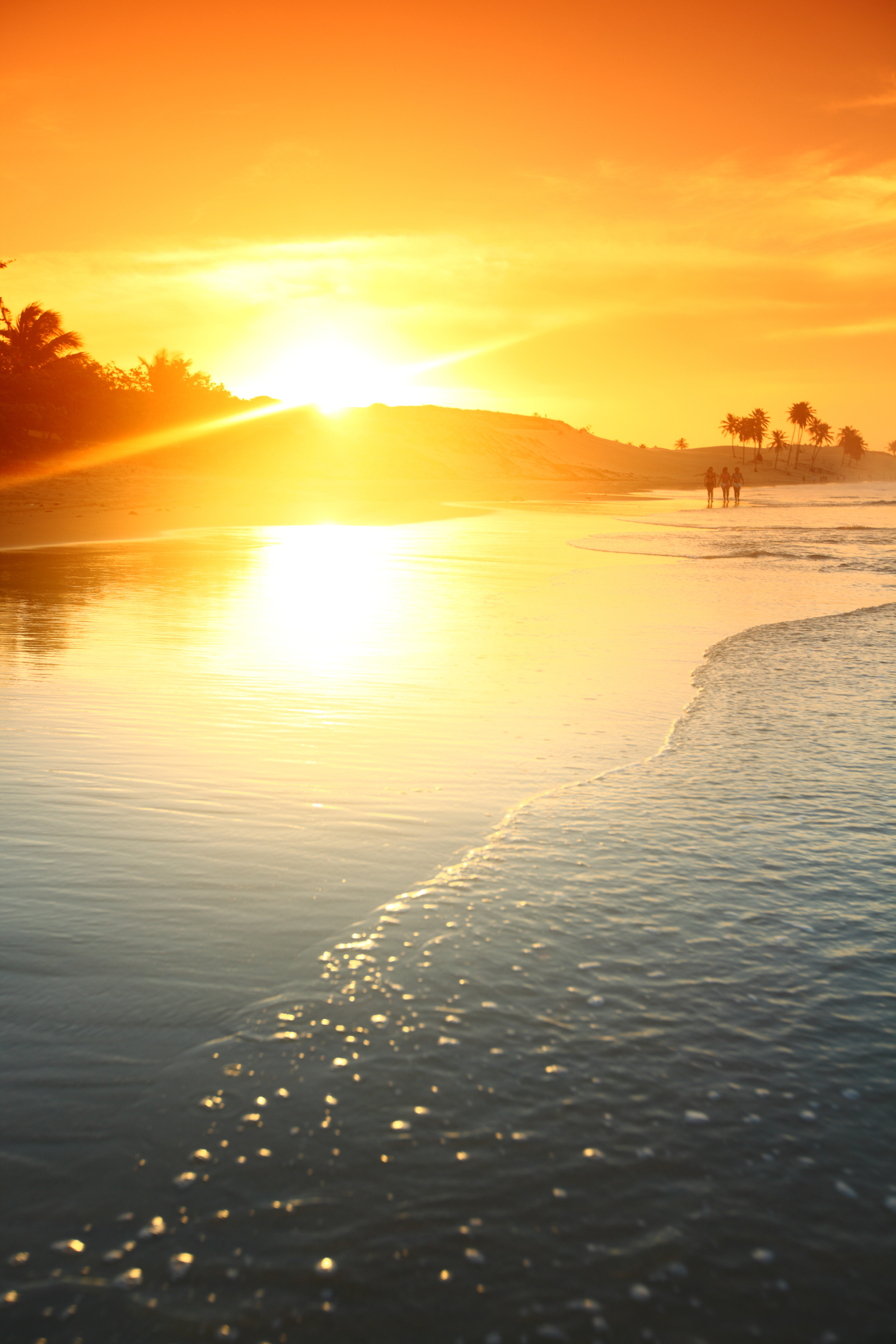 House of Hampton Gold Sunset | Wayfair.co.uk