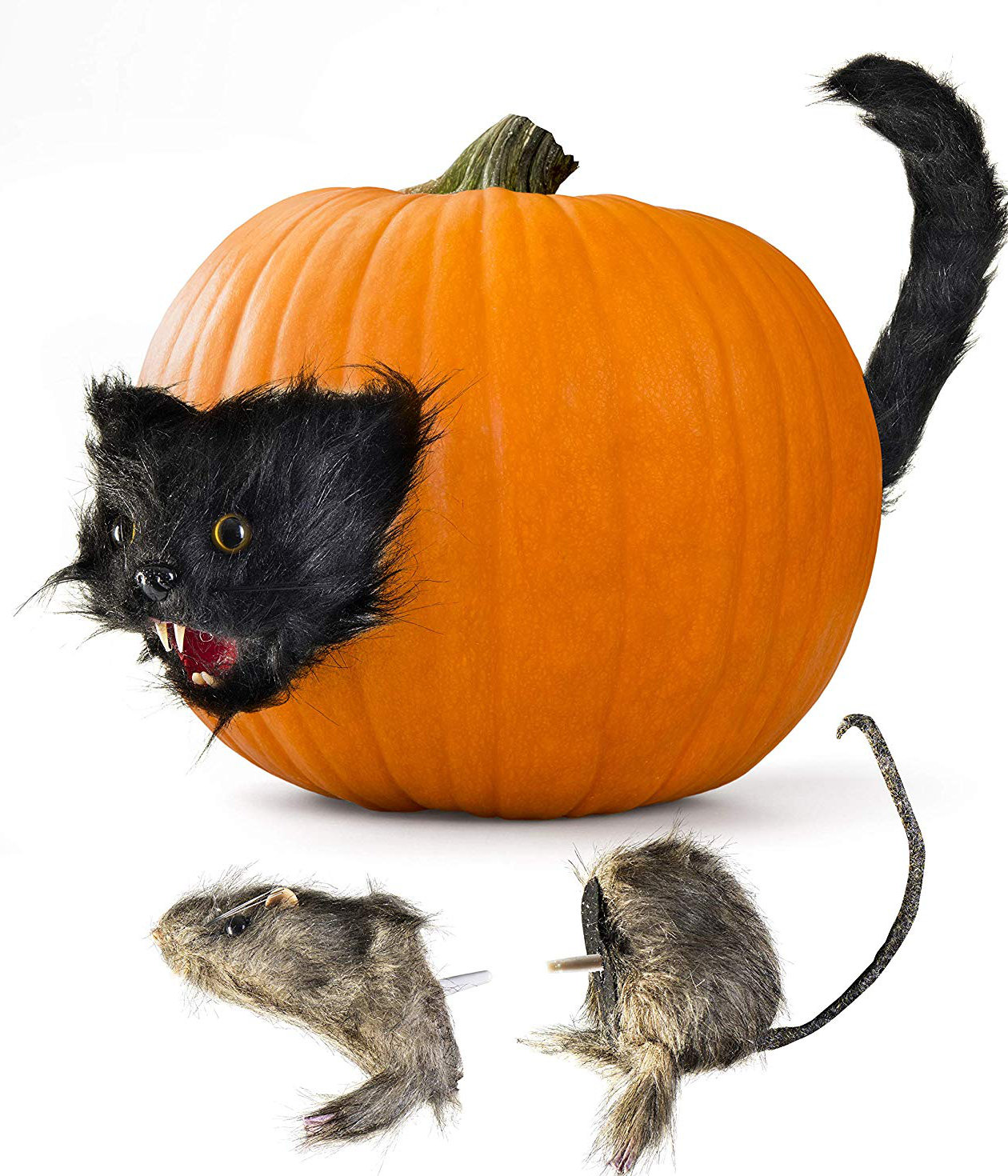 The Holiday Aisle® Halloween Creepy Scary Cat and Furry Rat Heads and ...