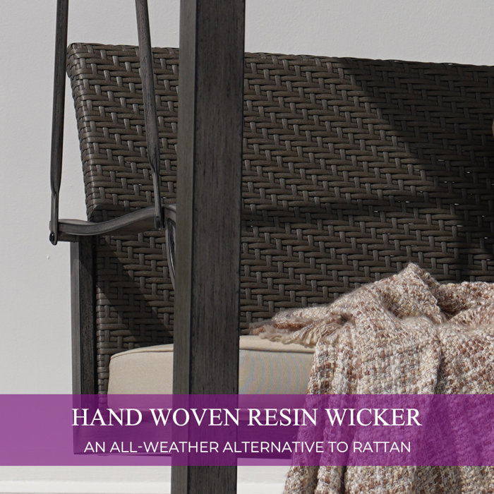 Hokku Designs Adelicia Porch Swing with Canopy & Reviews | Wayfair