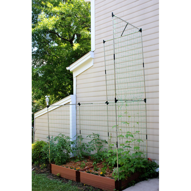 Frame It All 72'' H x 48'' W Steel Folding Trellis & Reviews | Wayfair