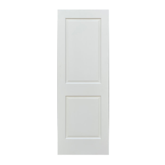 Home Surplus Paneled Wood Primed Standard Door & Reviews | Wayfair