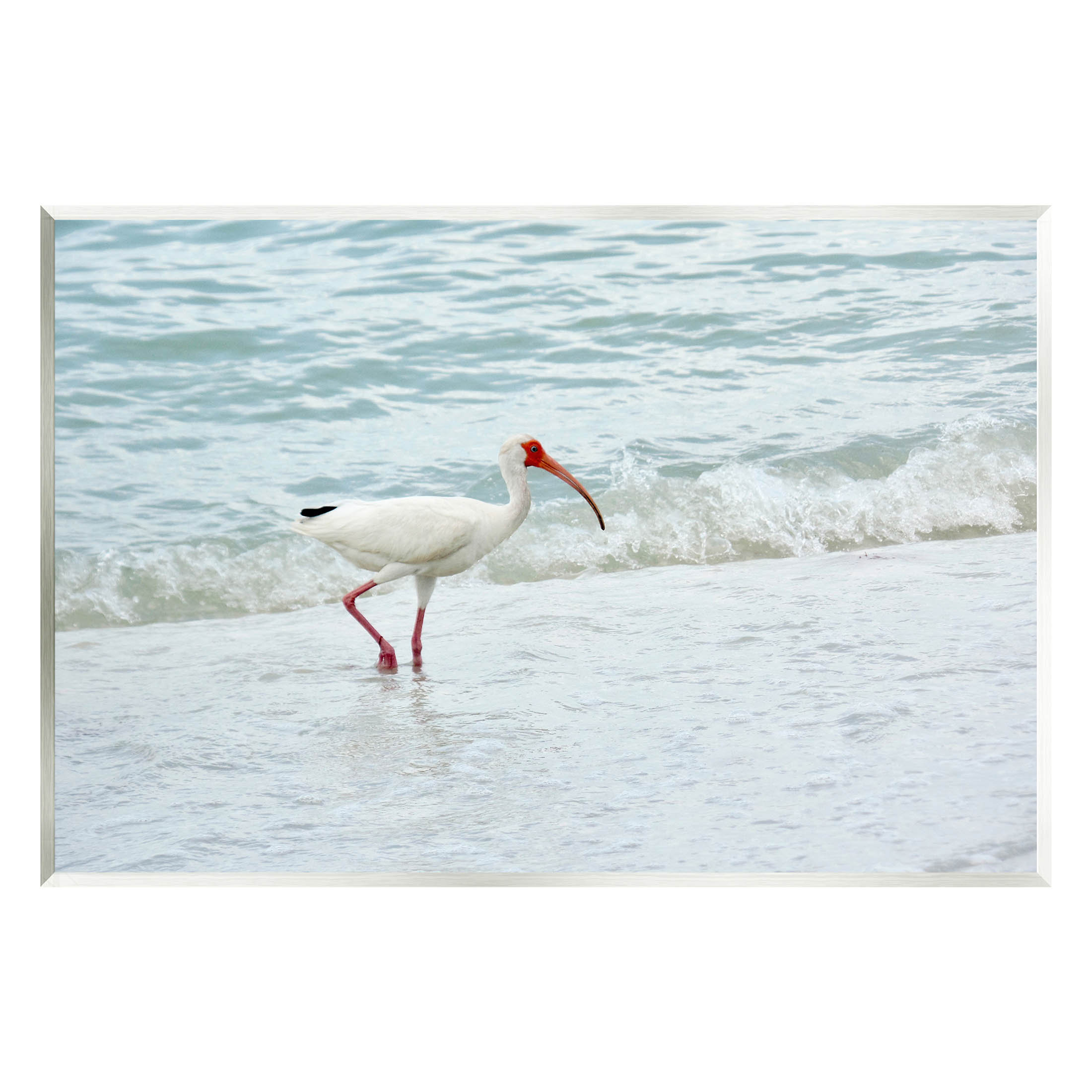 Highland Dunes Bird Stepping Sea Waves Splash by - Floater Frame ...