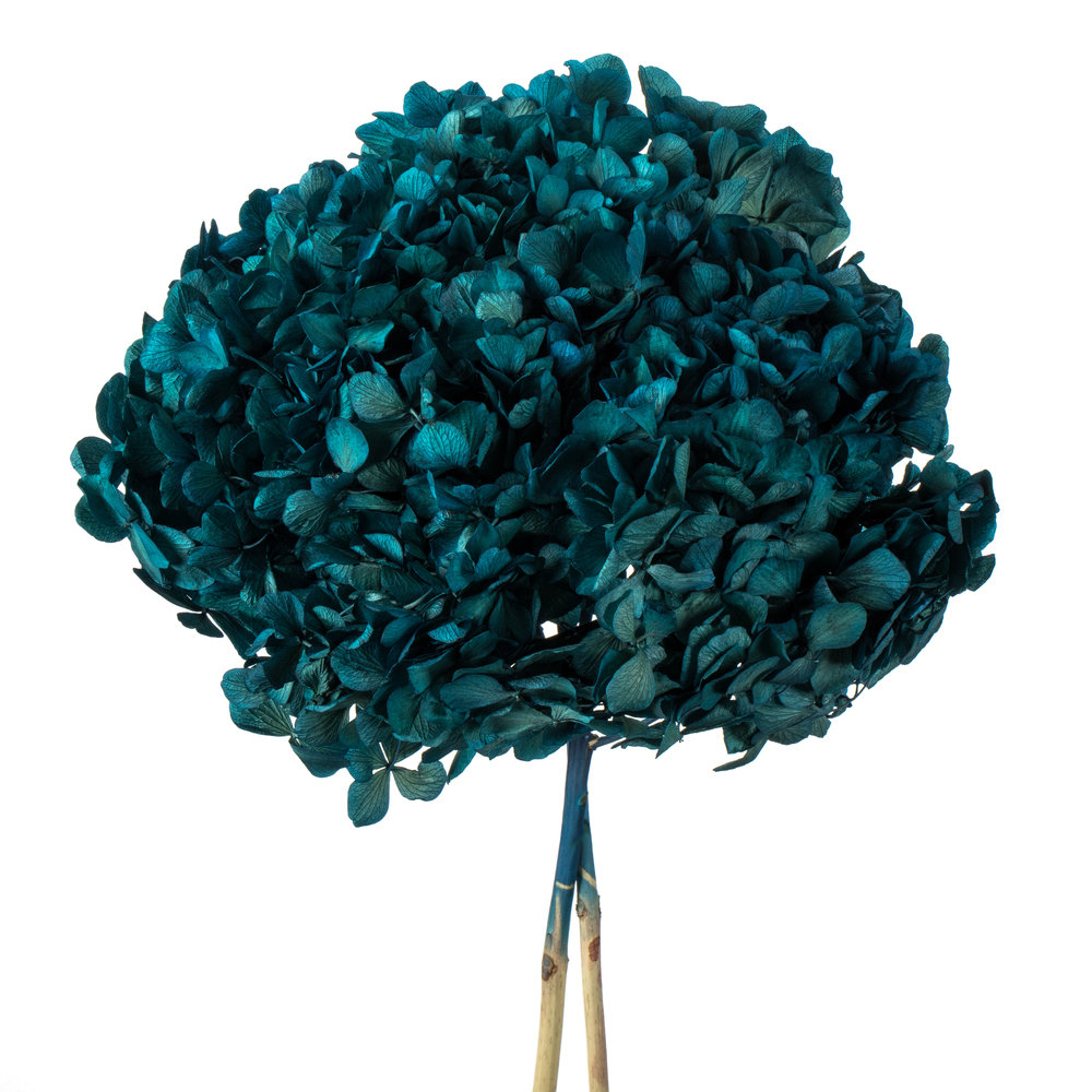 Loon Peak® Natural Botanicals 15 Hydrangea with Multiple Branch ...