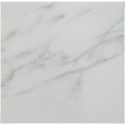 Tile & Mosaic Depot 18" x 18" Marble Marble Look Wall & Floor Tile ...
