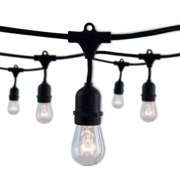 HometownEvolutionInc Edison String Lights Outdoor 50 - Bulb Plug-in ...