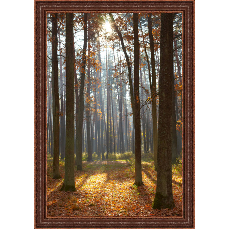 MidwestArtFrame Autumn Forest - Picture Frame Print | Wayfair