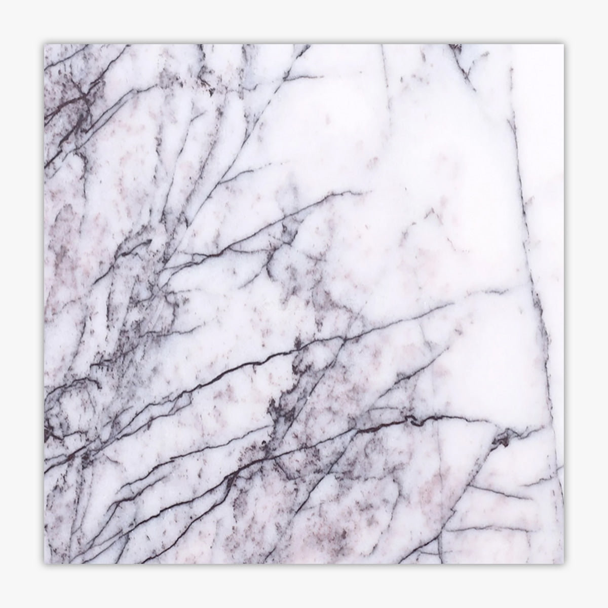 Direct Stone Source 12" x 12" Marble Wall & Floor Tile | Wayfair