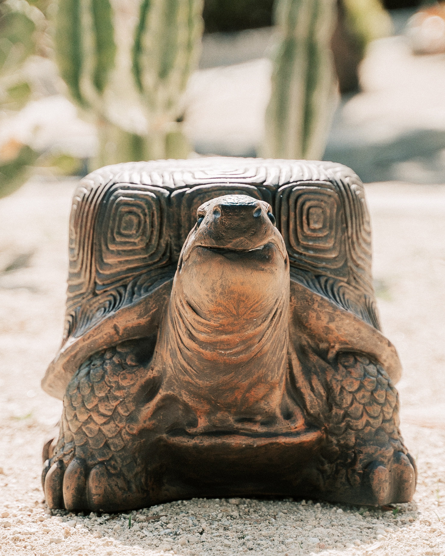 Bayou Breeze Yateley Tortoise Garden Statue | Wayfair