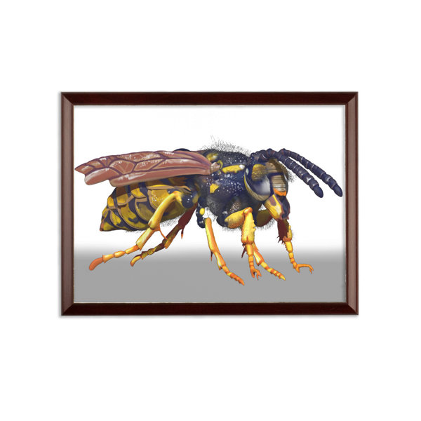 Millwood Pines Wasp Character - Picture Frame Graphic Art | Wayfair