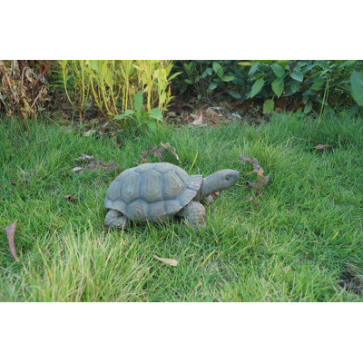 Hi-Line Gift Ltd. Turtle Statue & Reviews | Wayfair