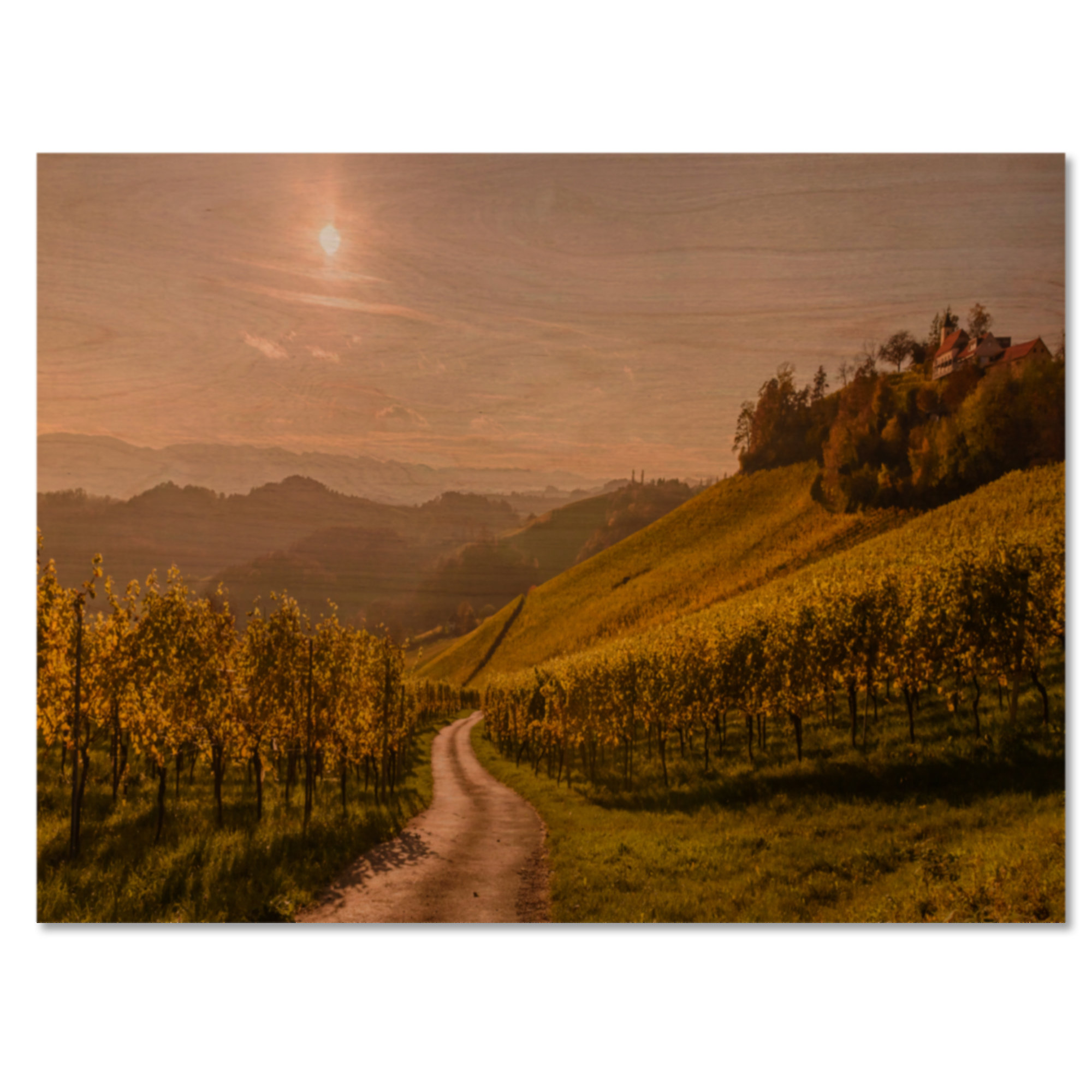 Millwood Pines Tuscana Wine Scenery In Summer - Unframed Painting on ...