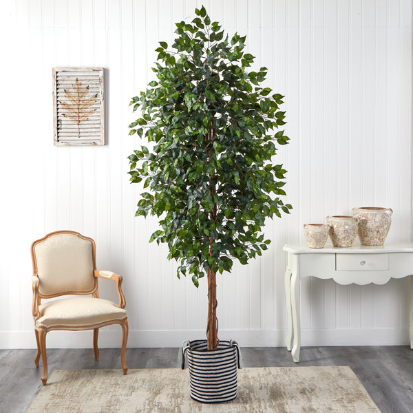 Primrue 96'' Faux Ficus Tree in Planter | Wayfair