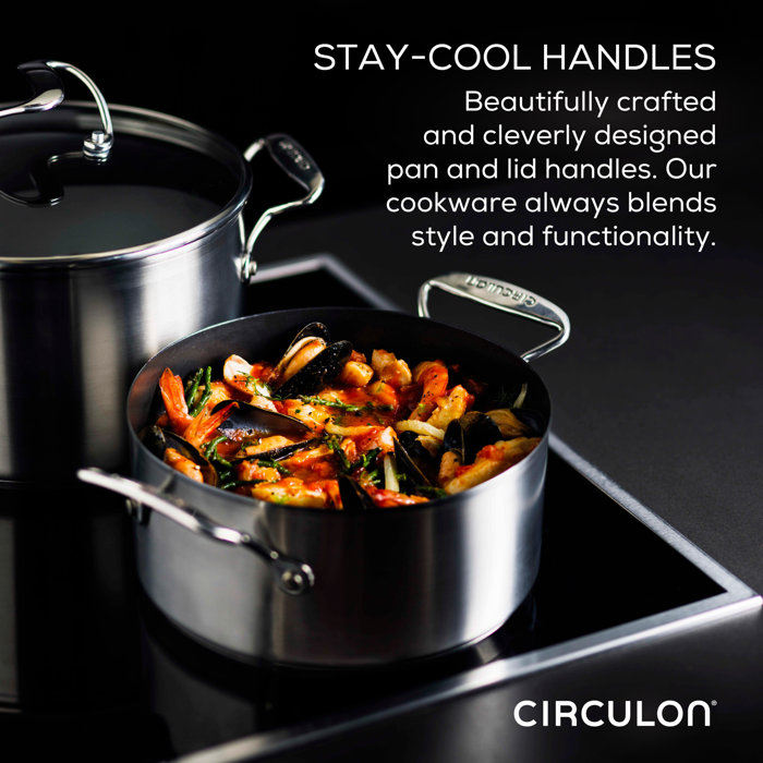 Circulon Steelshield 7.5 qt Nonstick Stainless Steel Stock Pot with Lid ...