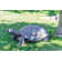 Hi-Line Gift Ltd. Large Turtle Statue & Reviews - Wayfair Canada