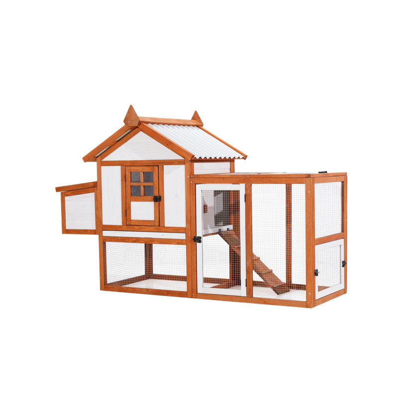 Tucker Murphy Pet™ Chahat Walk In Chicken Coop with Chicken Run ...