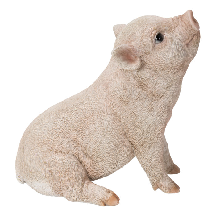 Hi-Line Gift Ltd. Baby Pig Sitting | Wayfair