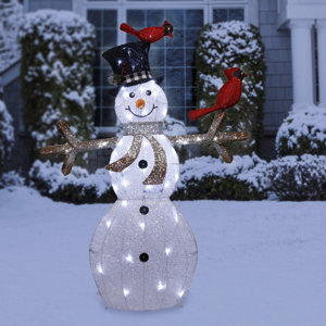 The Holiday Aisle® Snowman Lighted Display & Reviews | Wayfair