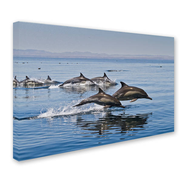 Trademark Art Robert Harding Picture Library Woman 1 On Canvas by ...