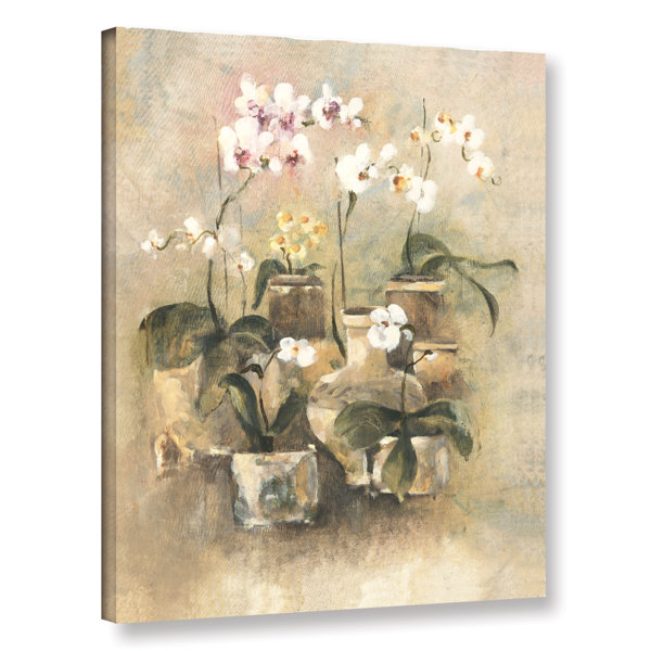 Cheri-blum-orchids | Wayfair