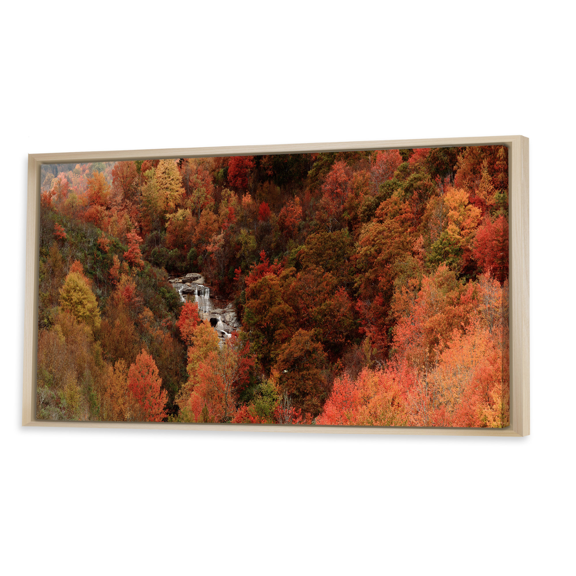 Millwood Pines Panoramic Autumn Season Landscape II - Photograph on ...