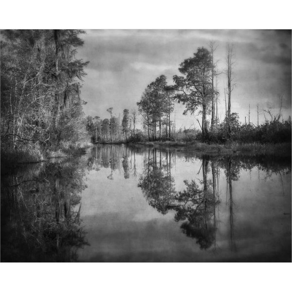 Swamp-wall-art | Wayfair