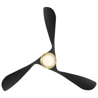 WAC Limited Fans Swirl 54'' Ceiling Fan with LED Lights & Reviews | Wayfair