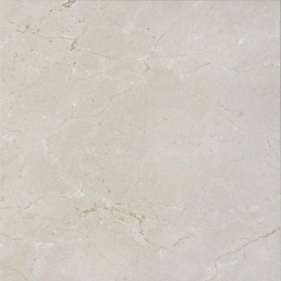 Tile & Mosaic Depot 24" x 24" Marble Marble Look Wall & Floor Tile ...