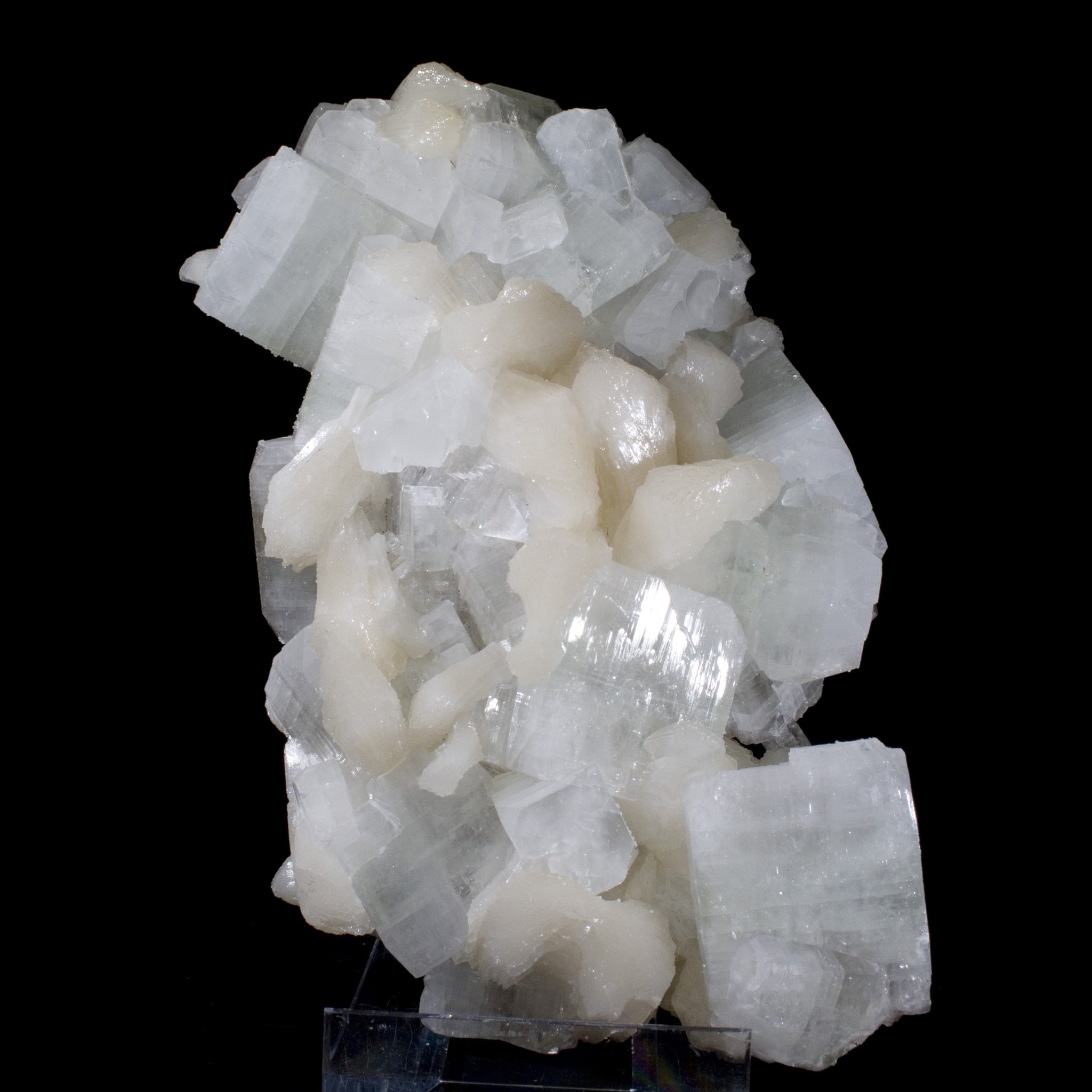 Studio Mineralia Translucent Plate of Soft Green Apophyllite and White ...