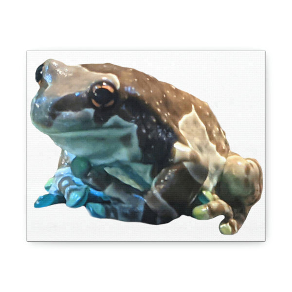 Brayden Studio® Toad - Unframed Illustration | Wayfair
