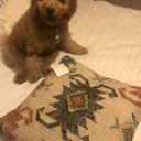 Joss & Main Peridan Tassels Jute Throw Pillow | Wayfair